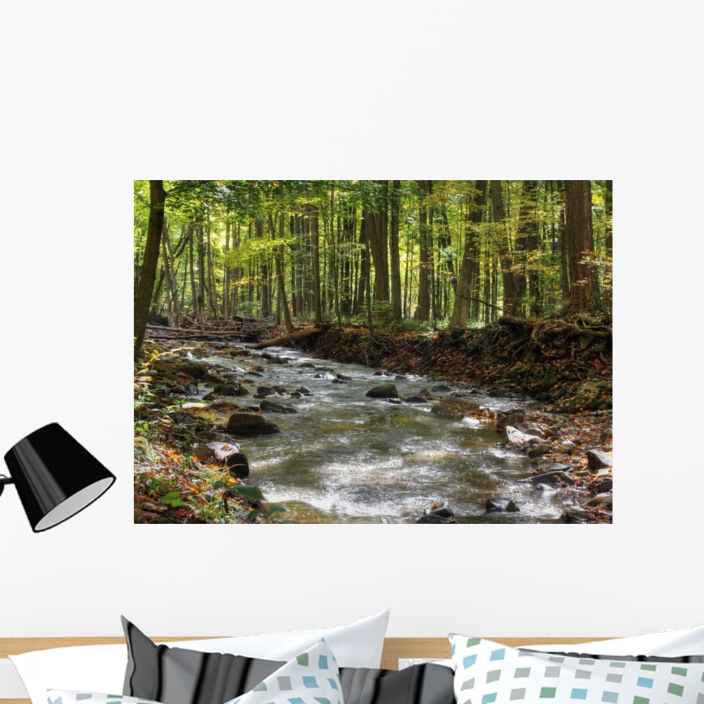 Flowing River Wall Mural by Wallmonkeys Peel and Stick Graphic (36 in W ...