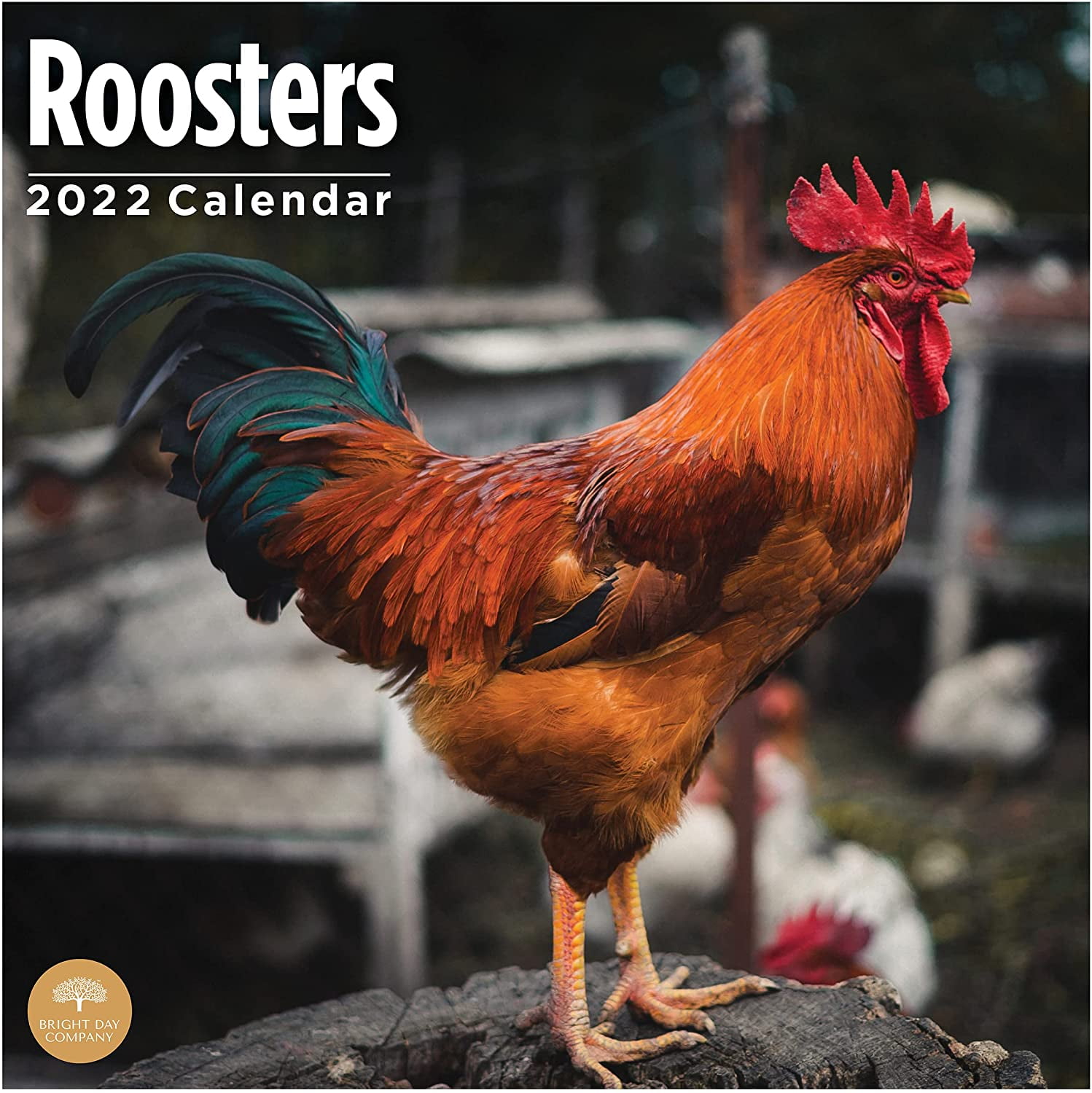 2022 Roosters Wall Calendar by Bright Day, 12 x 12 Inch, Beautiful Farm ...