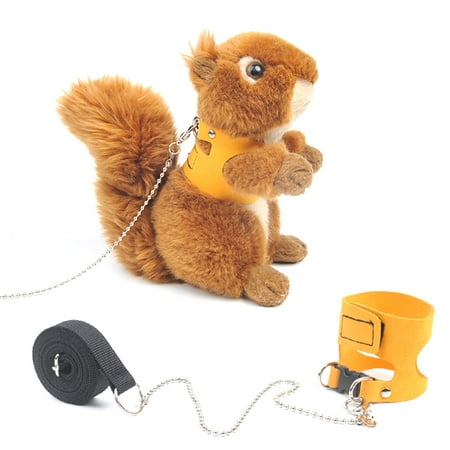 Squirrel Leash and Harness Set Adjustable Squirrel Harness Small Animal ...