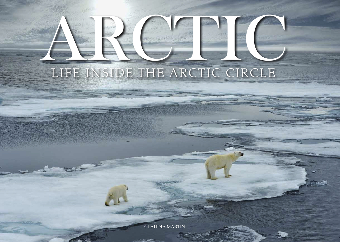 Pre-Owned Arctic: Life Inside the Arctic Circle (Hardcover) 1838860479 ...