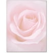 Antique Roses Letterhead Laser & Inkjet Printer Paper, 25 Sheet Pack ...