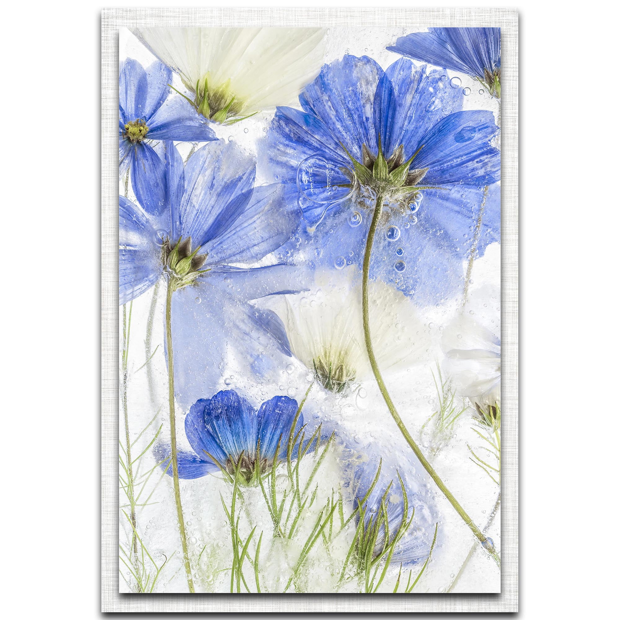 Cosmos Blue Parchment Frame - Walmart.com