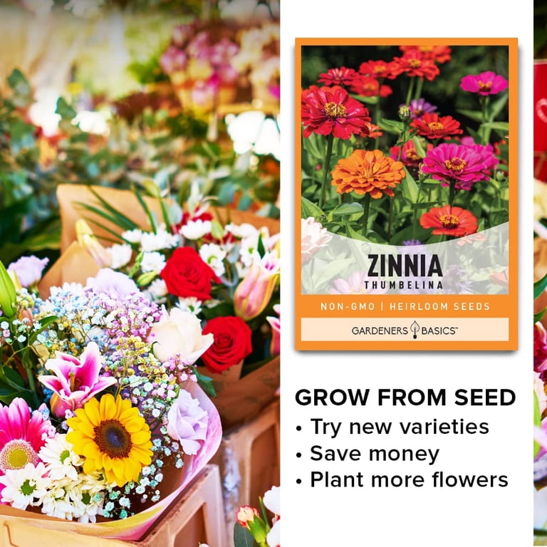 Flower Seed Packets Walmart