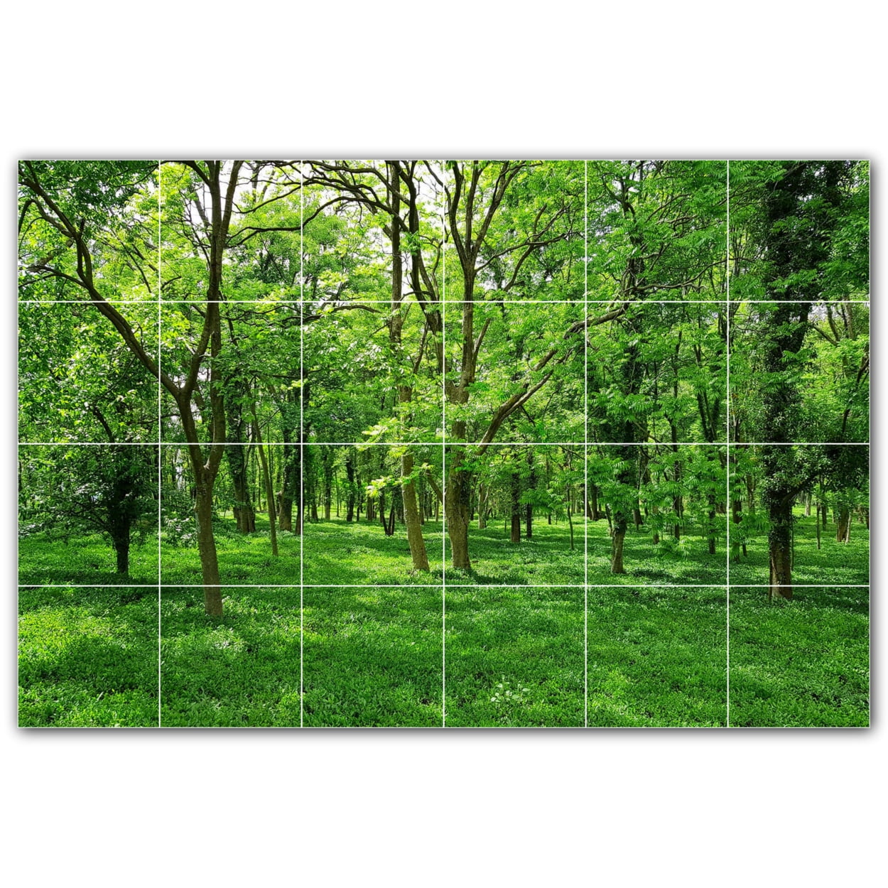 Picture-Tiles.com: Trees Ceramic Tile Wall Mural WAL501005-64S. 25.5"W ...