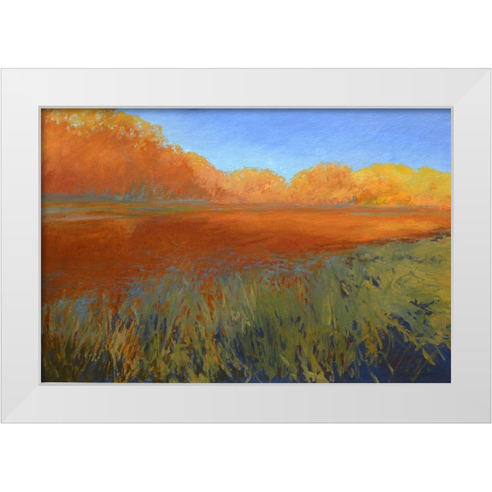Bradshaw, Don 24x17 White Modern Wood Framed Museum Art Print Titled ...