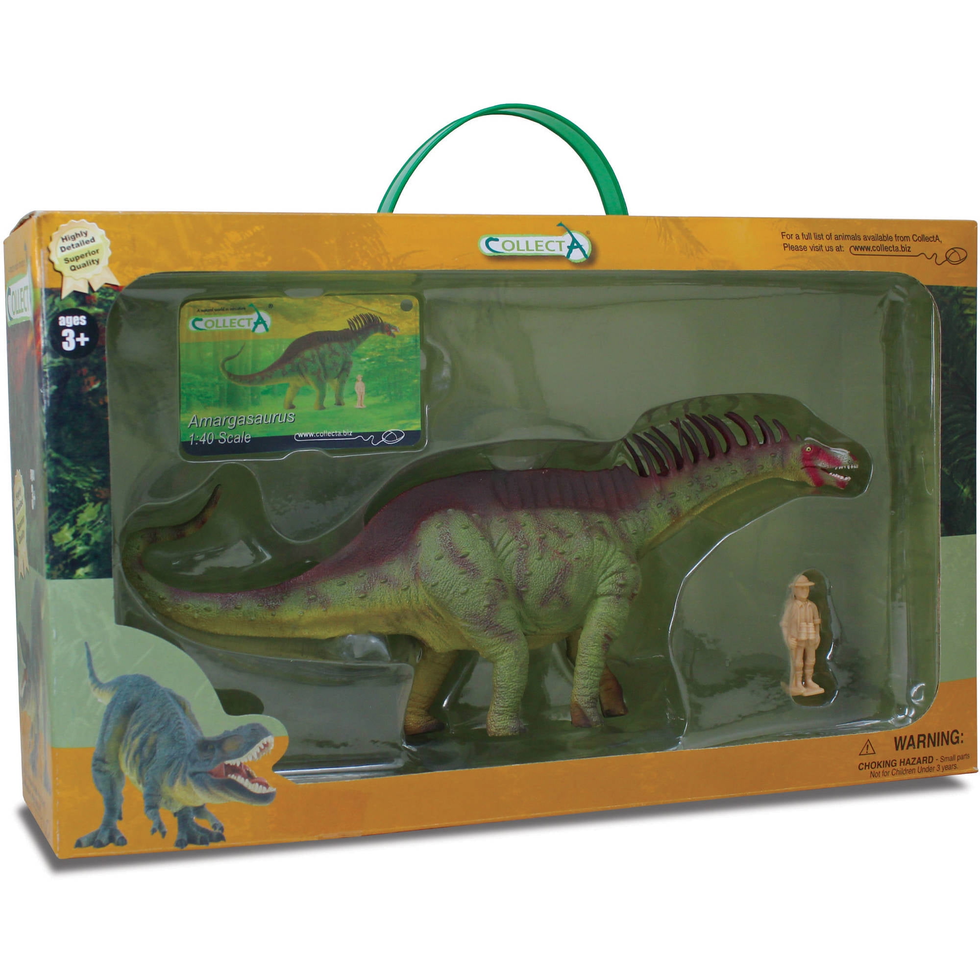 CollectA Amargasaurus in Window Box - Walmart.com