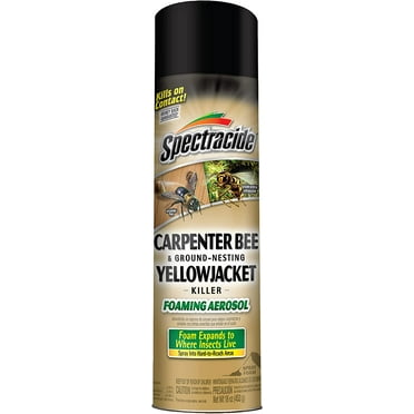 Spectracide Terminate Termite Killing Foam, 16 oz, Kills Termites ...