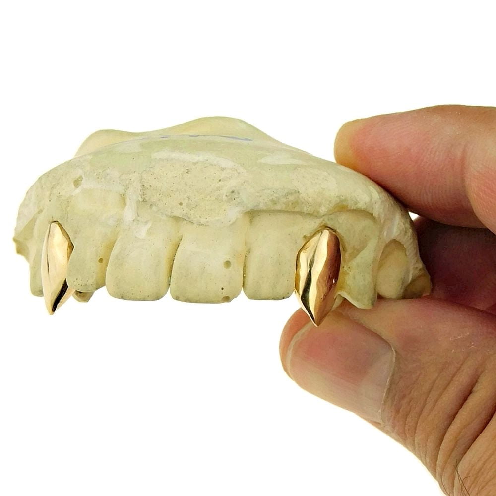 Wolf Fang Grillz