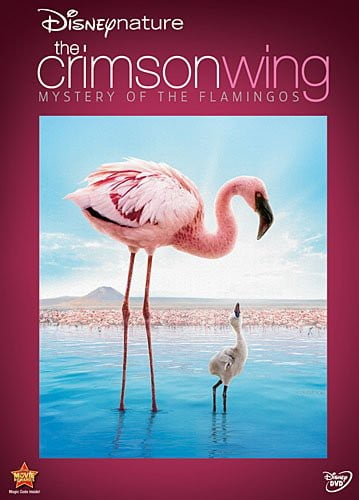The Crimson Wing: Mystery of the Flamingos (DVD) - Walmart.com