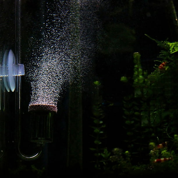 Bubble Counter Refiner,Acrylic Aquarium Carbon Dioxide Aquarium ...