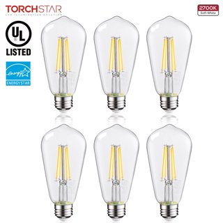 Tenergy 8W LED Edison Bulb 2700K (Soft White) - Walmart.com