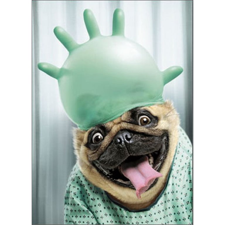 Get Well Soon Cute Dog