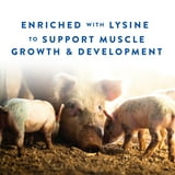 Family Farm Hog 14 | Complete Feed for Growing & Finishing Pigs |40 lb ...