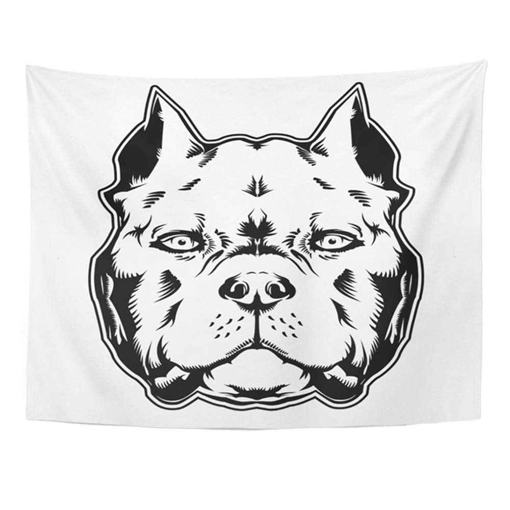 American Bully Head Drawings