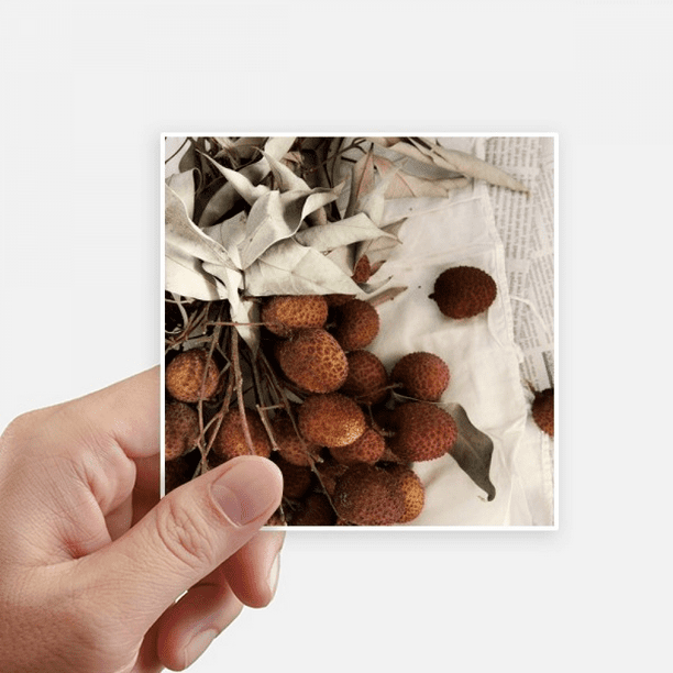 Fresh Tropical Fruit Litchi Picture Sticker Square Waterproof Stickers ...