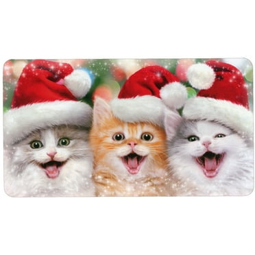Avanti Press Santa Cat With Cookies Box of 10 Funny Christmas Cards ...