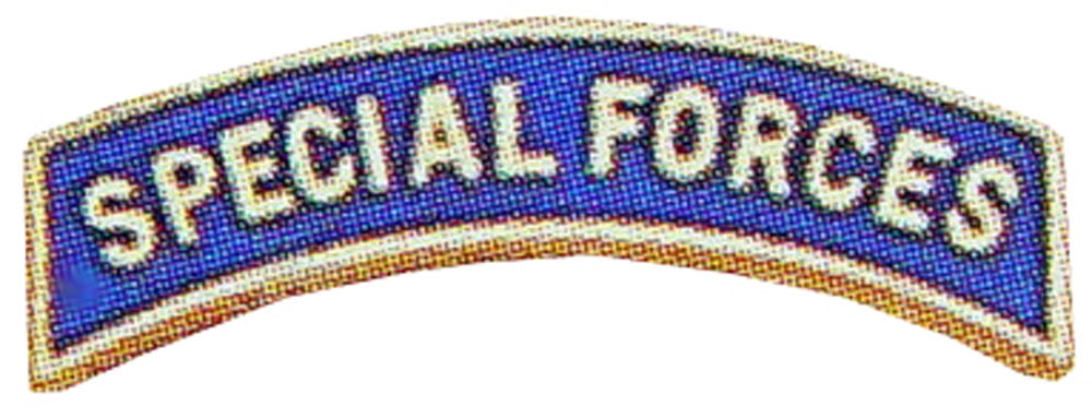 U.S. ARMY, SPECIAL FORCES TAB - Original Artwork, Expertly Designed PIN ...