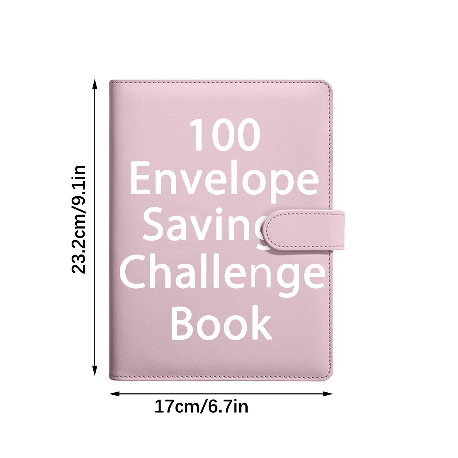 DagobertNiko 100 Envelope Challenge Binder Easy And Way To Save ...