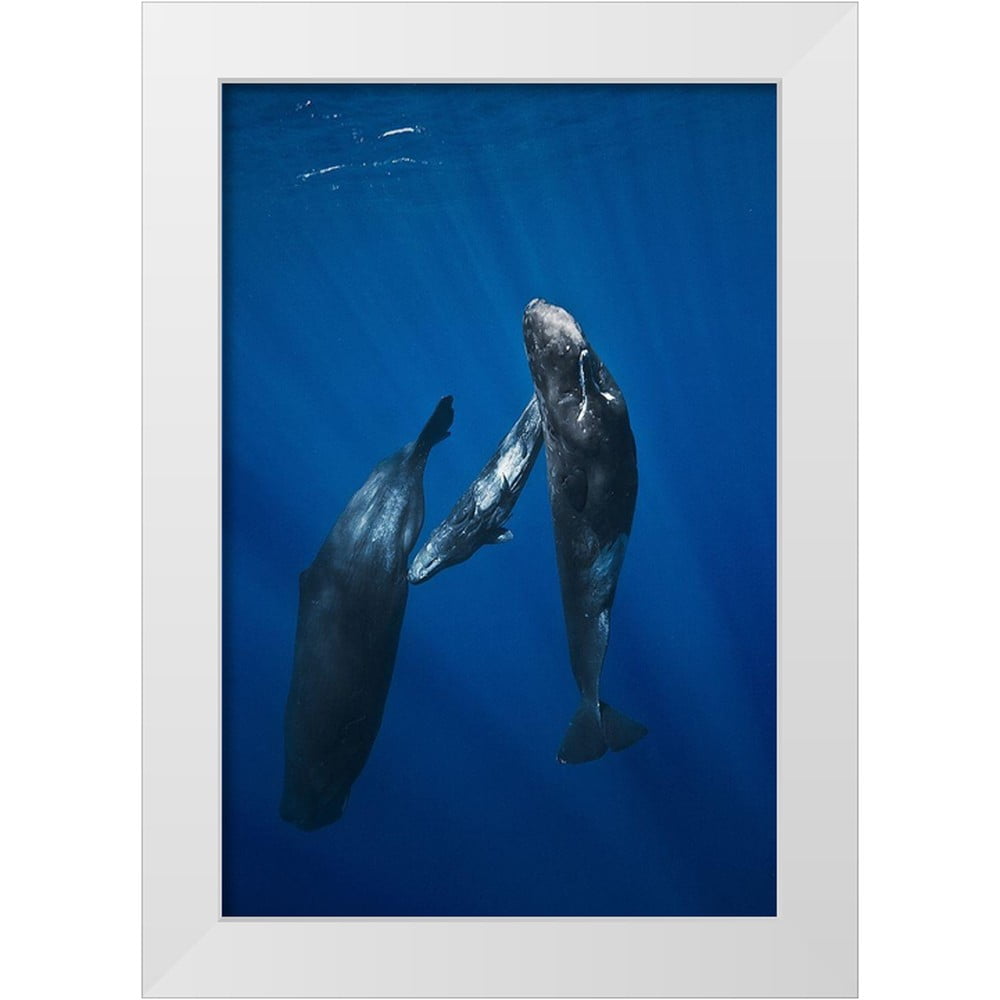 Gabriel, Barathieu 23x32 White Modern Wood Framed Museum Art Print ...