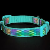 Blueberry Pet Magic Rainbow Color Reflective Polka Dot Holo Dog Collar ...