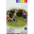 Intex Friendly Caterpillar Sprayer, 1.0 CT - Walmart.com