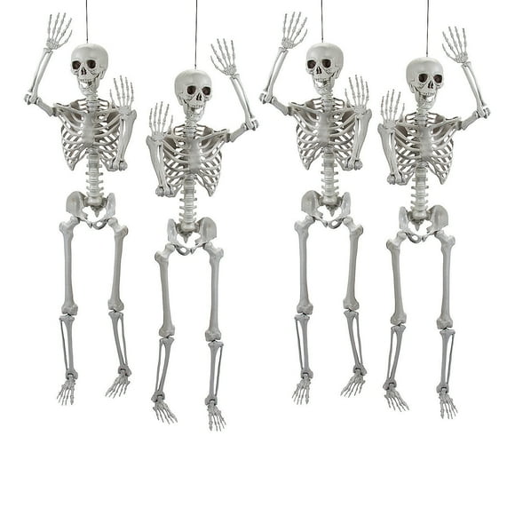 Posable Skeleton
