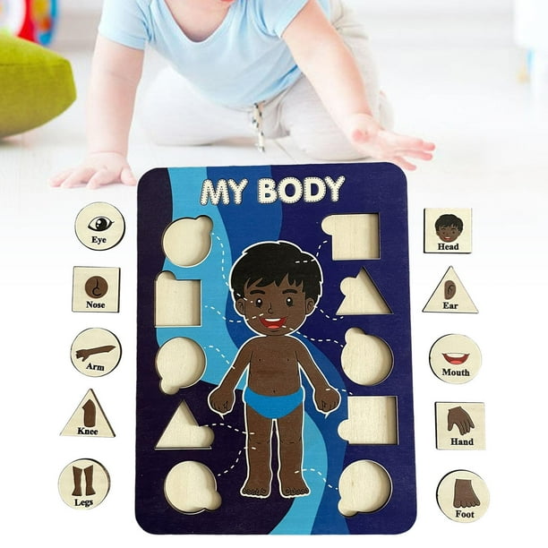 Rompecabezas Partes Del Cuerpo Encajable Las Partes De Mi Cuerpo