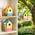 XIBUFE 2026 New 2Pack Diy Bird House Kit Build and Paint Birdhouse for ...