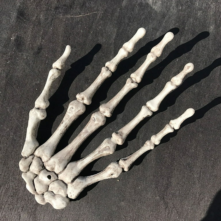 Human Skeleton Hand