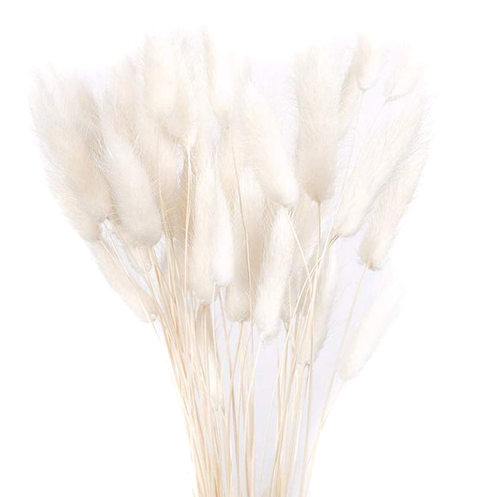 Home & Living Dried flower bouquet Lagurus Home Décor Floral ...
