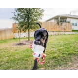 Multipet Lamb Chop Plush Dog Toys, with Rope Pull and Crinkle Noise ...