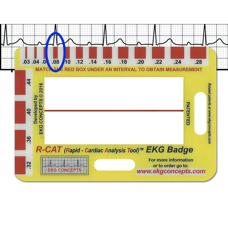 R-CAT EKG Workbook #3500, 51% OFF | www.gbu-hamovniki.ru