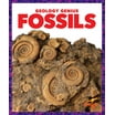 Geology Genius Sedimentary Rocks, (Hardcover) - Walmart.com