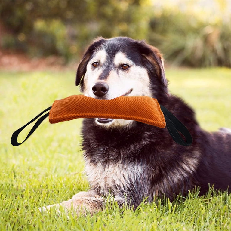Clean A Dog Bite