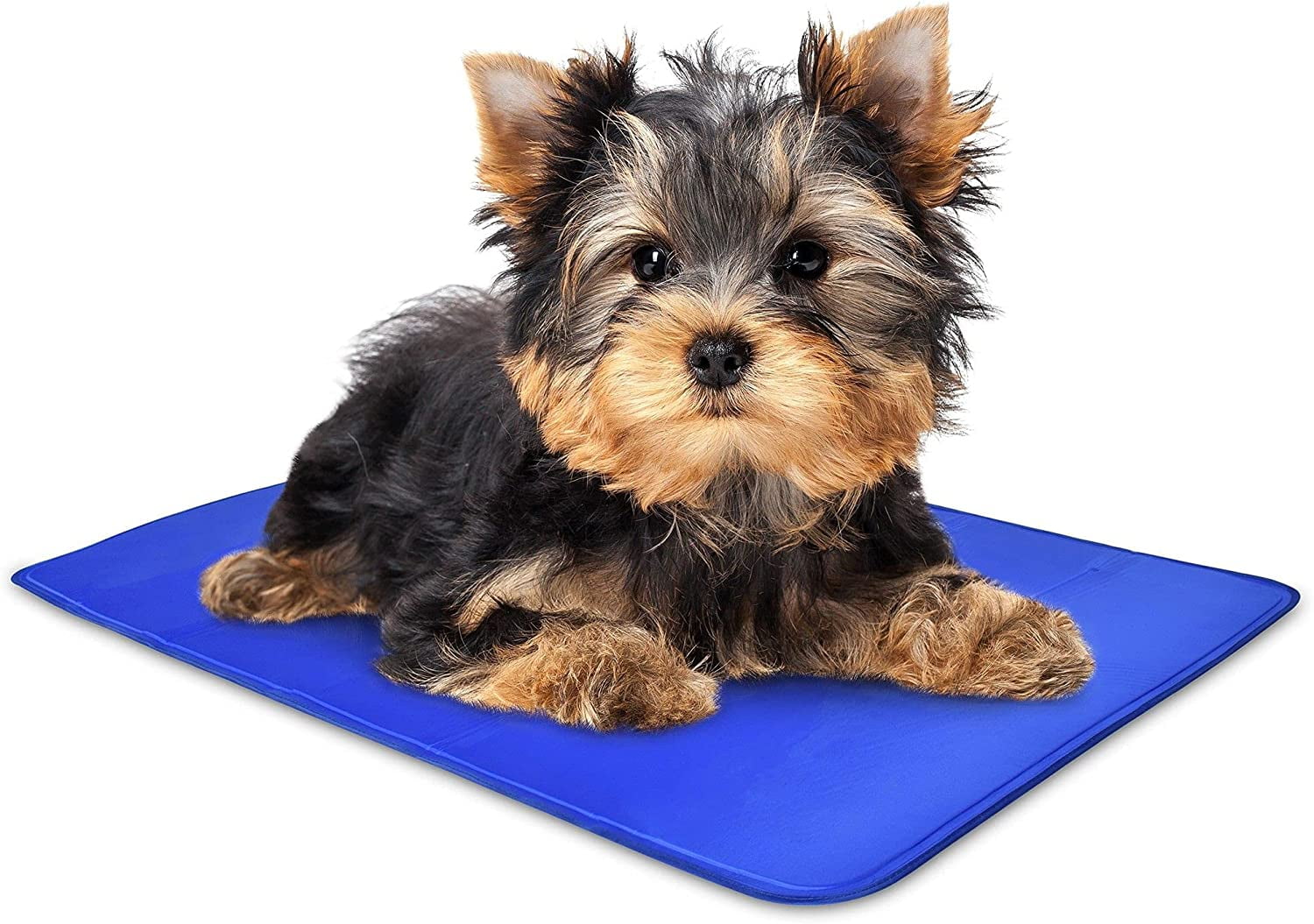 Arf Pets, Dog Cooling Mat ,Cats & Small Animals, Mat Pad For Kennels ...