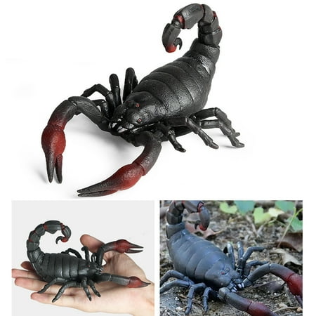 Aofa Rubber Insect Animal, TPR Super Stretchy Bug Figures Bath Pool Toy ...