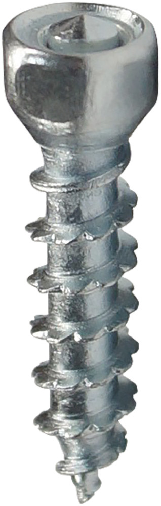 Woodys 30mm Boss Twist Screws 1000 Pack (WST-0830-1000) - Walmart.com