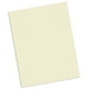 Pacon Array® Card Stock, 65 lb., Ivory, 100 Sheets Per Pack, 2 Packs ...