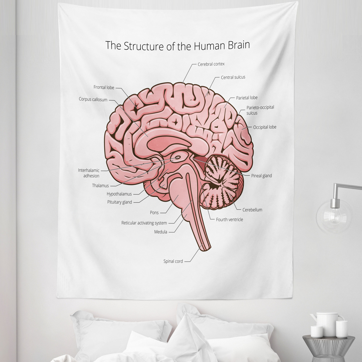 Anatomy Tapestry, Structure of the Human Brain Parts Illustraiton on ...