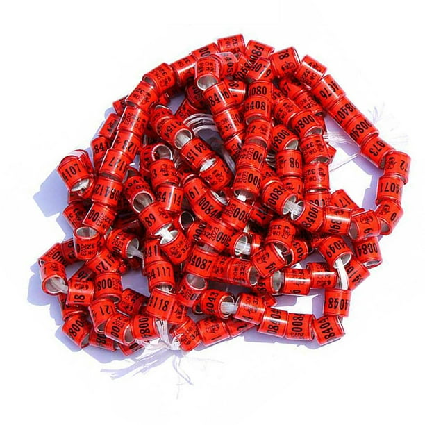 50x 2023 Pigeon Leg Rings Bird Foot Bands for Identification Band Small ...
