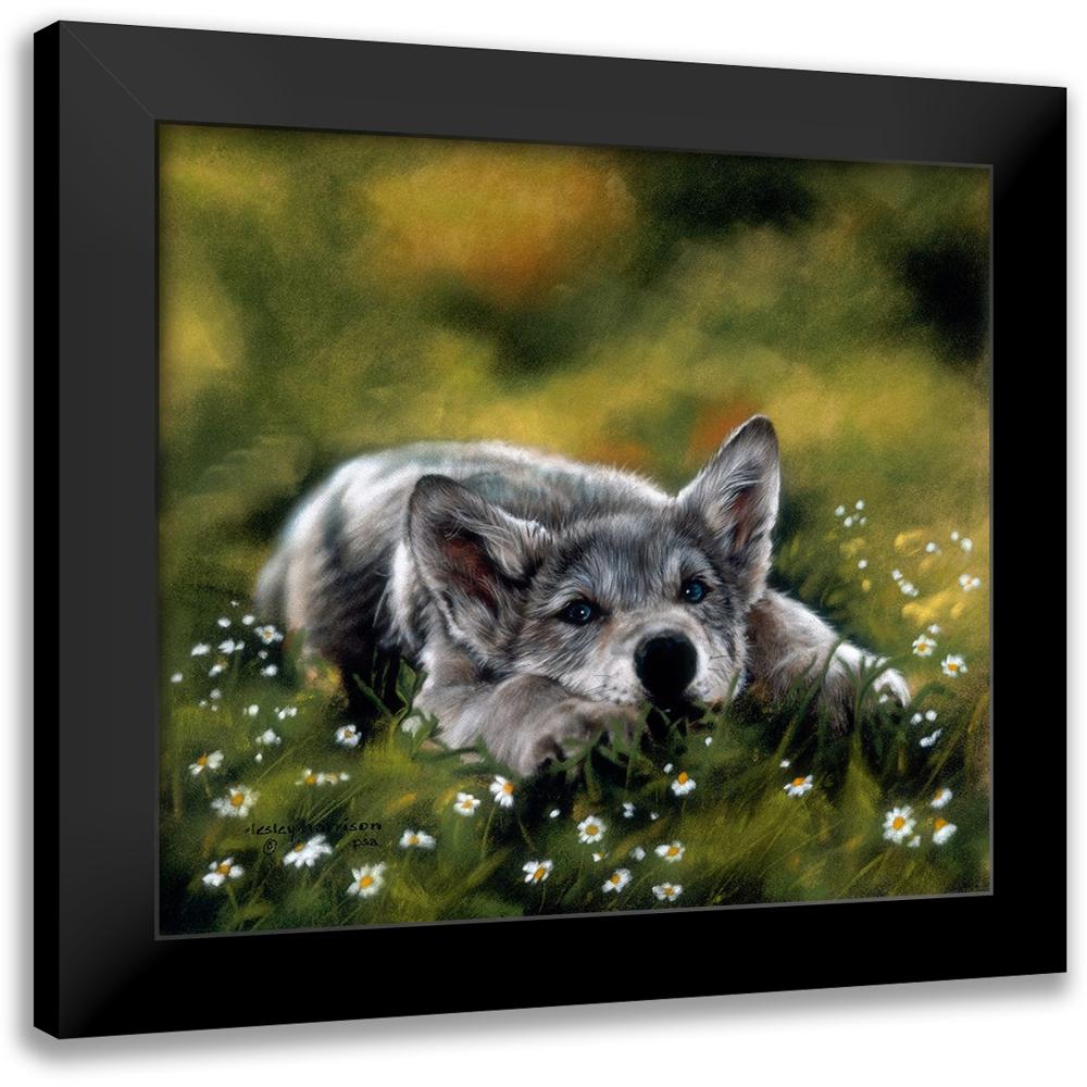 Harrison, Lesley 22x20 Black Modern Framed Museum Art Print Titled - No ...