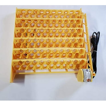 EcoGlow 20 Chick Brooder - Walmart.com