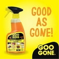Goo Gone Original Spray Gel - 12 oz, Adhesive & Paint Remover, Removes ...