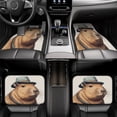 4-Piece Car Floor Mats Set, Cute Animal Crystal Velvet Automotive Front ...