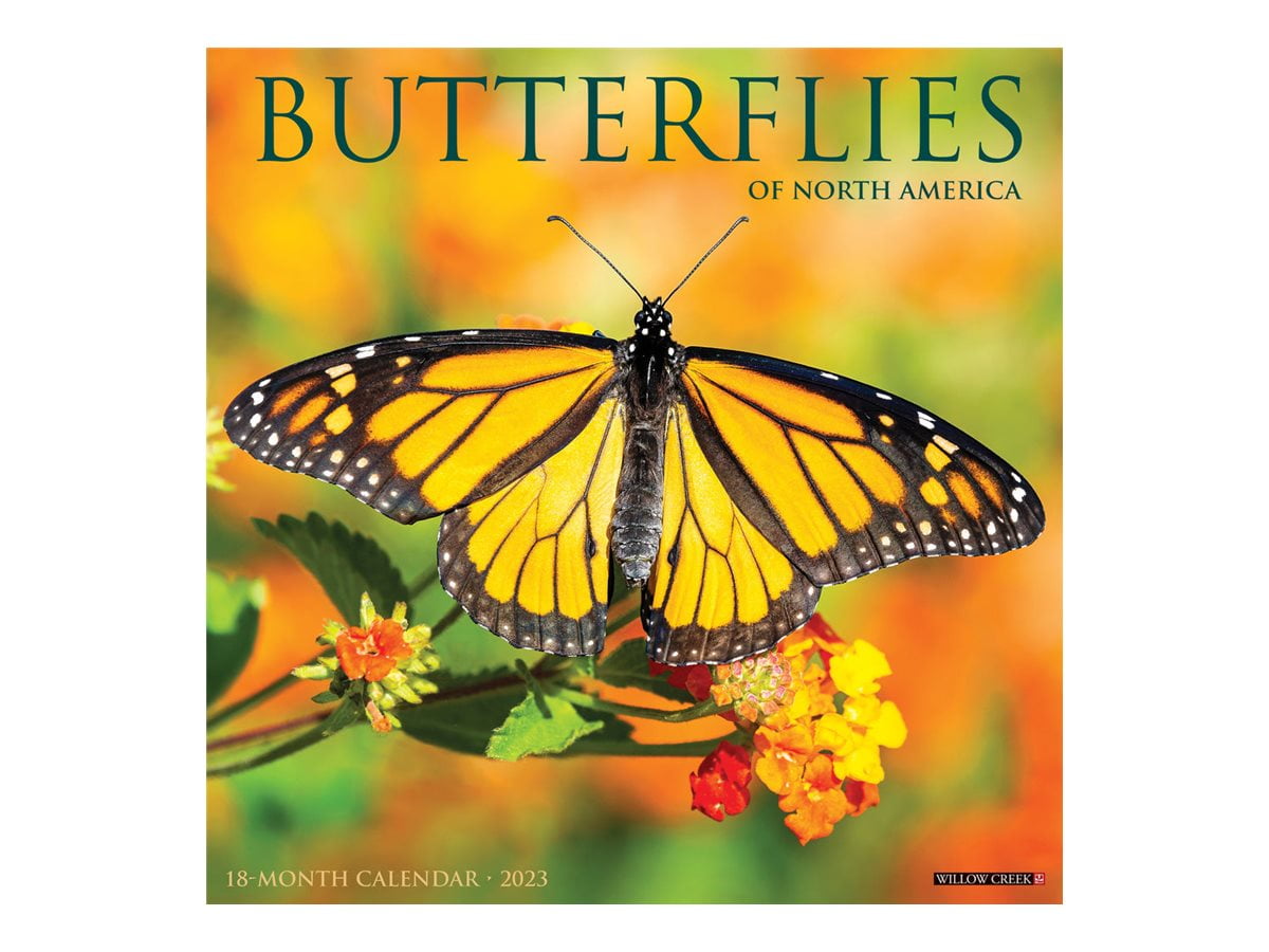 Butterflies 2023 Wall Calendar - Walmart.com