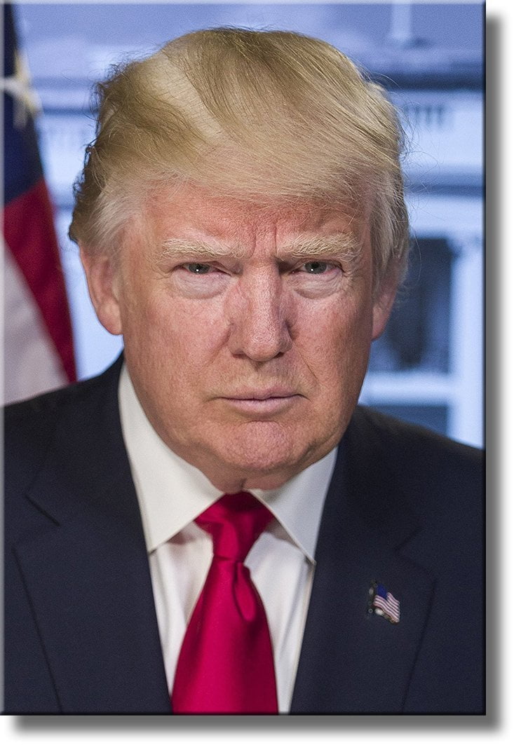 45th President Donald Trump Portrait on Stretched Canvas Wall Art D?cor ...
