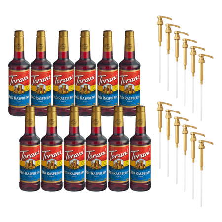 Torani Red Raspberry Flavoring Syrup Plastic 750 mL Bonus Squeeze Pump ...