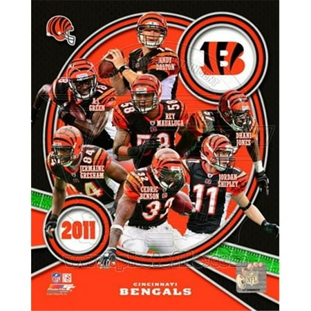 Photofile PFSAANX15001 Cincinnati Bengals 2011 Team Composite -8 x 10 ...