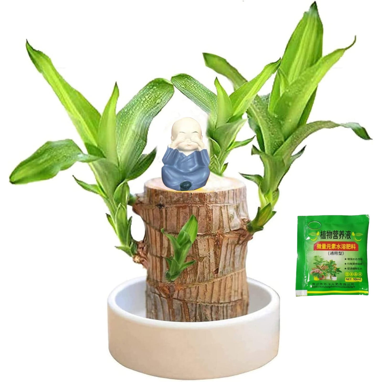 Click here for Knfateqvedg Canada Day 10ml Brazilian Wood Fortune... prices