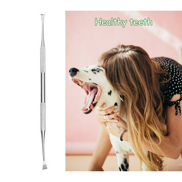 Double Headtooth Scraper,Dog Tooth Scaler and Canine Scraper Dog Tooth ...
